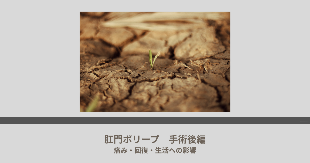 肛門ポリープ術後の痛み・回復・生活の変化｜体験談で分かるリアルな経過 | 手取り17万円から始めるお金の学びノート